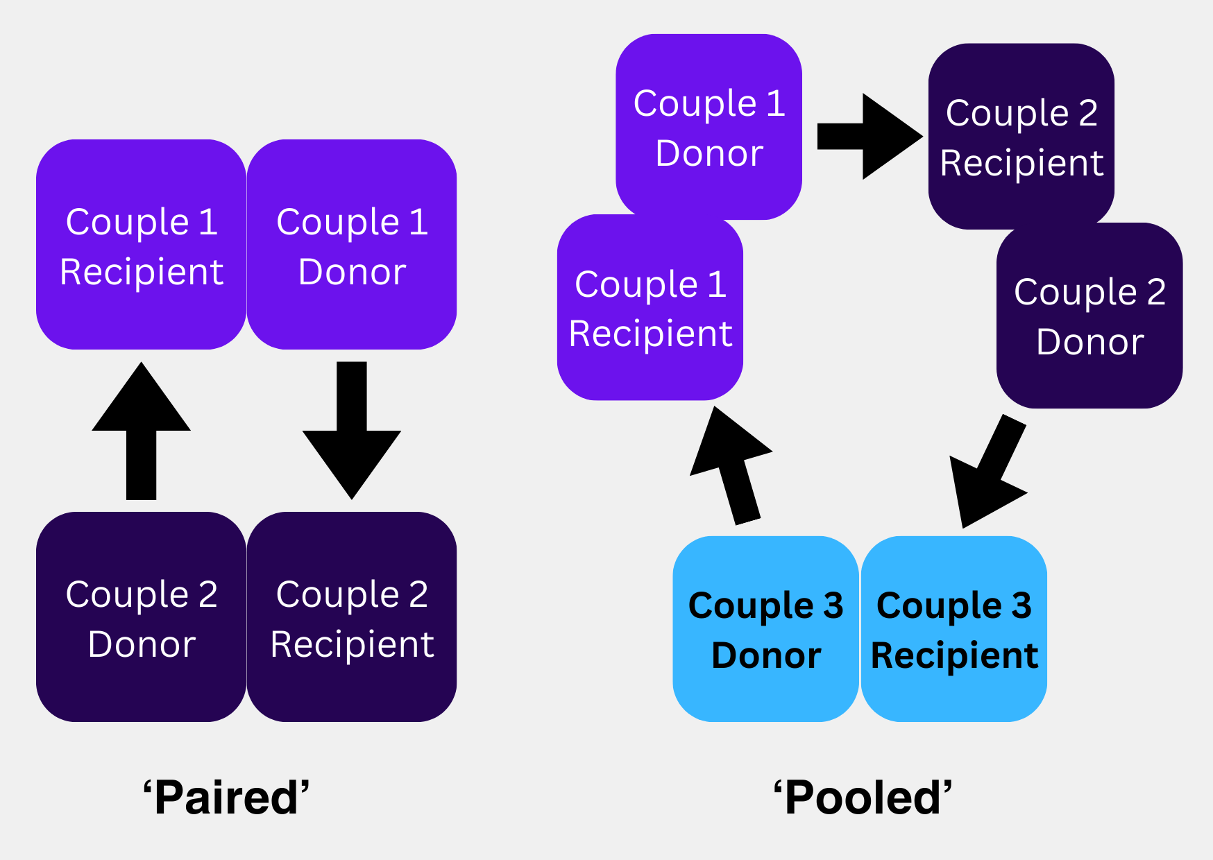 Kidney donation matching process - Kidney donor matching